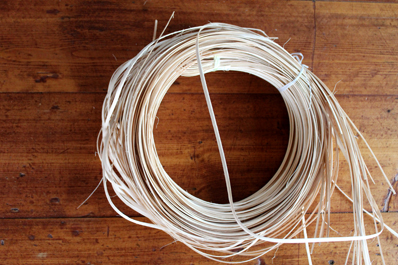 Racine du monde - Rotin